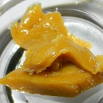 Bogglegum Super Melt Review