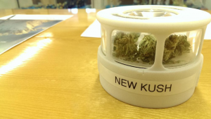 New Vansterdam Stand at the Vanguard of Weed