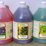 Lucas Formula What Is It and How Do You Use It?