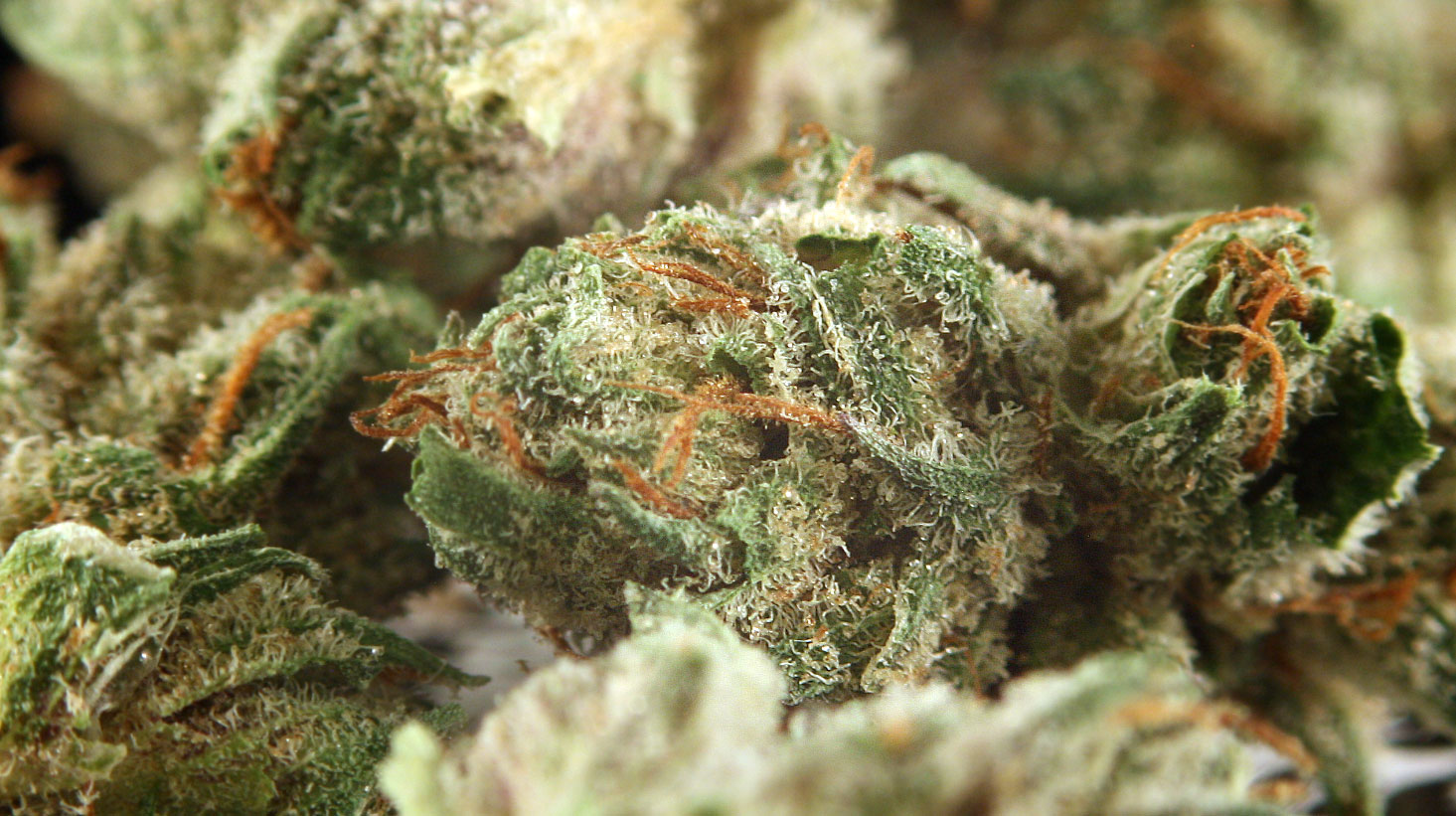 Bubba Kush Strain Review