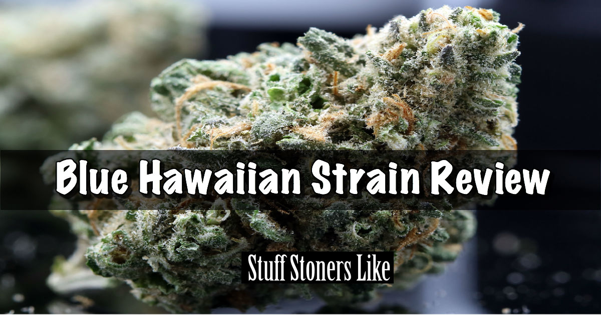 Blue Hawaiian Strain Review at 21% THC How is This Sativa Hybrid