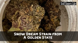 A Golden State Cannabis Review - STUFF STONERS LIKE