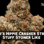 Hippie Crasher Strain