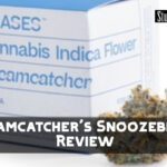 Snoozeberry Review