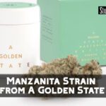 Manzanita Strain